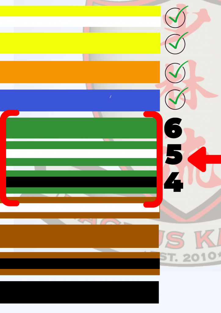 Green Belt at Magnus Karate - Magnus Karate