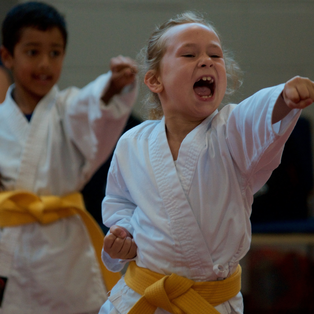 Home - Magnus Karate